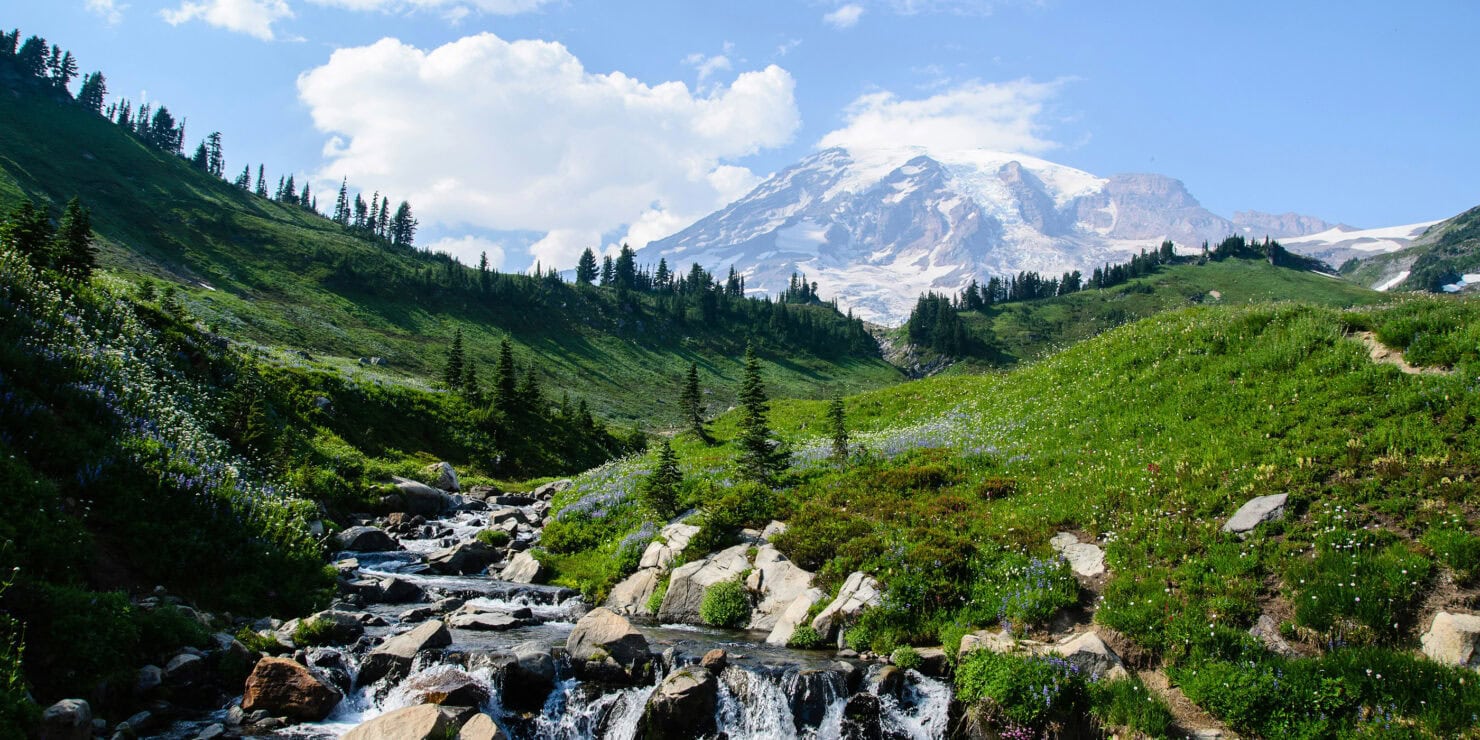 Washington Elopement Packages | Updated for 2026